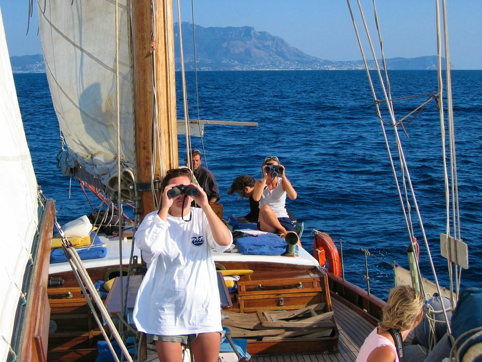 Whale & Dolphin Conservation in Italy | Voluntariado en Italia 2024