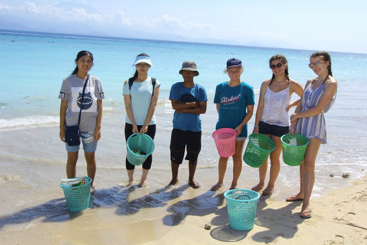 Turtle Conservation Assistance | Volunteer in Indonesia 2025