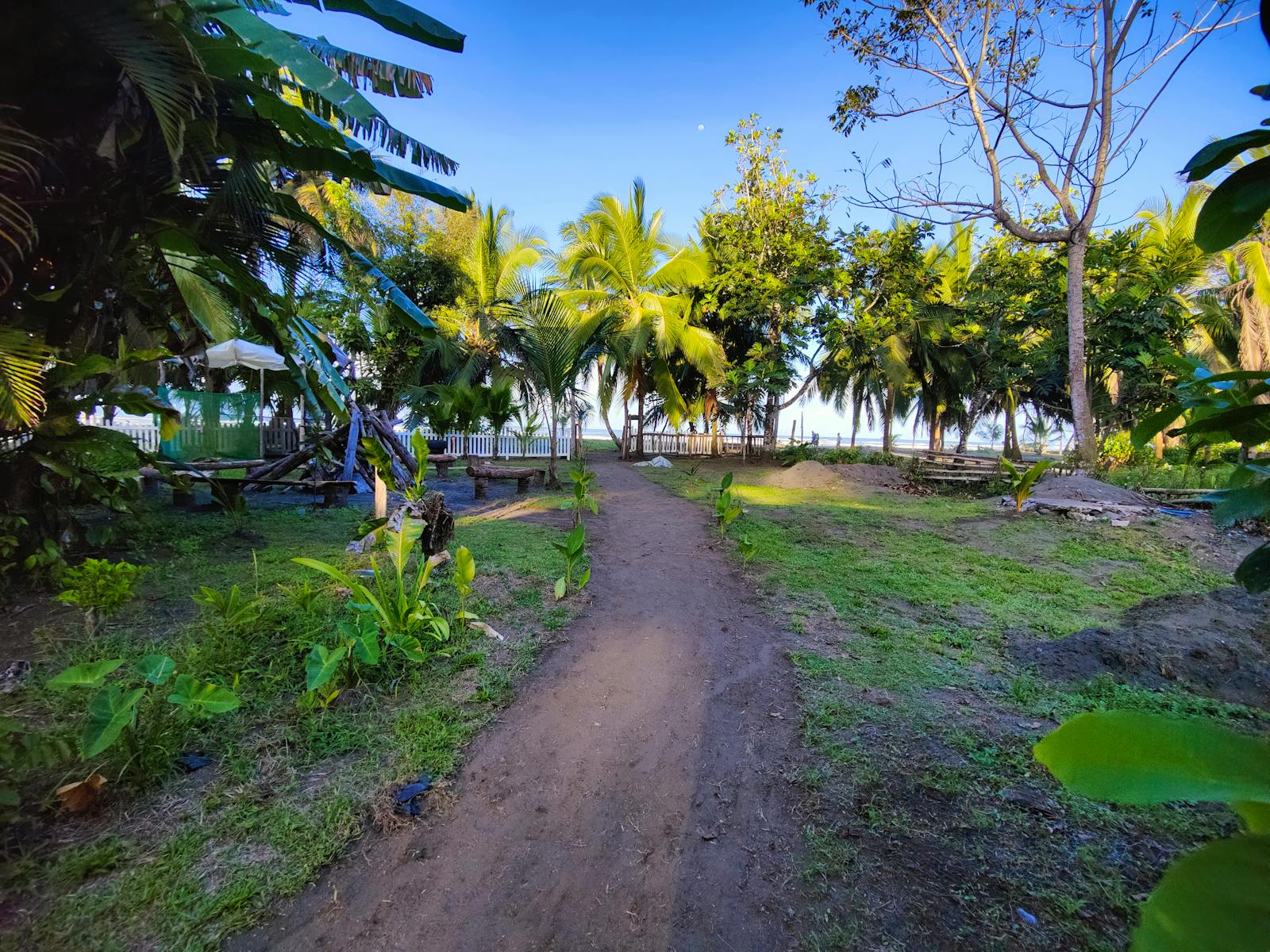 Turtle Conservation Camp Supporter | Volunteer in Costa Rica 2025