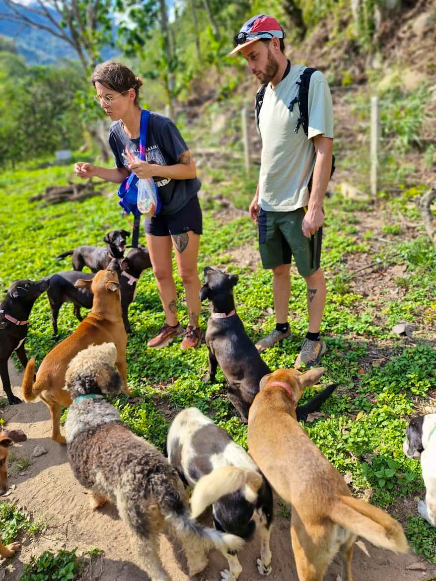 Dogs Cuddling Expert | Volunteer in Colombia 2025