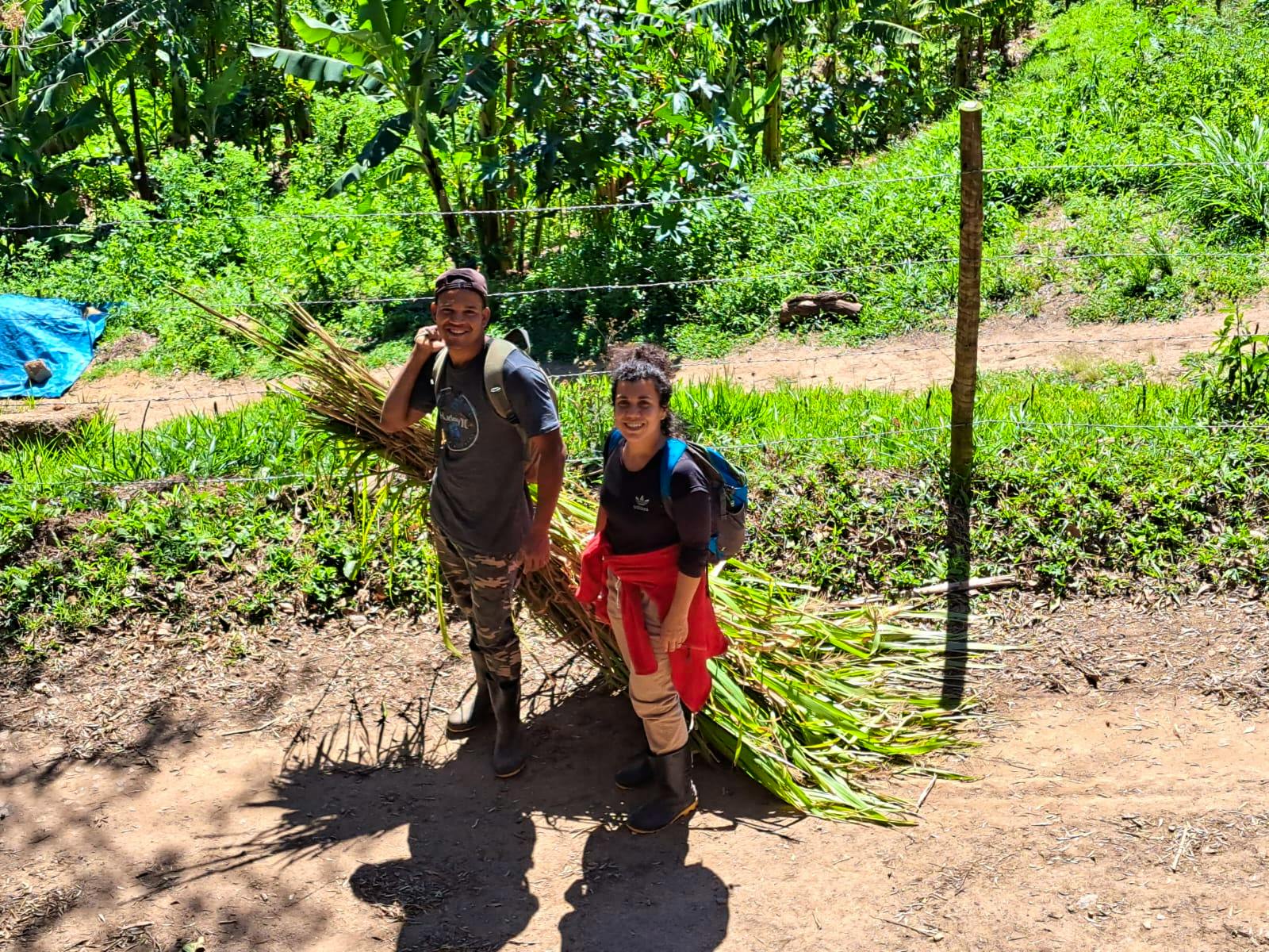 Agroforestry & Sintropic Agriculture Assistant | Volunteer in Brazil 2025