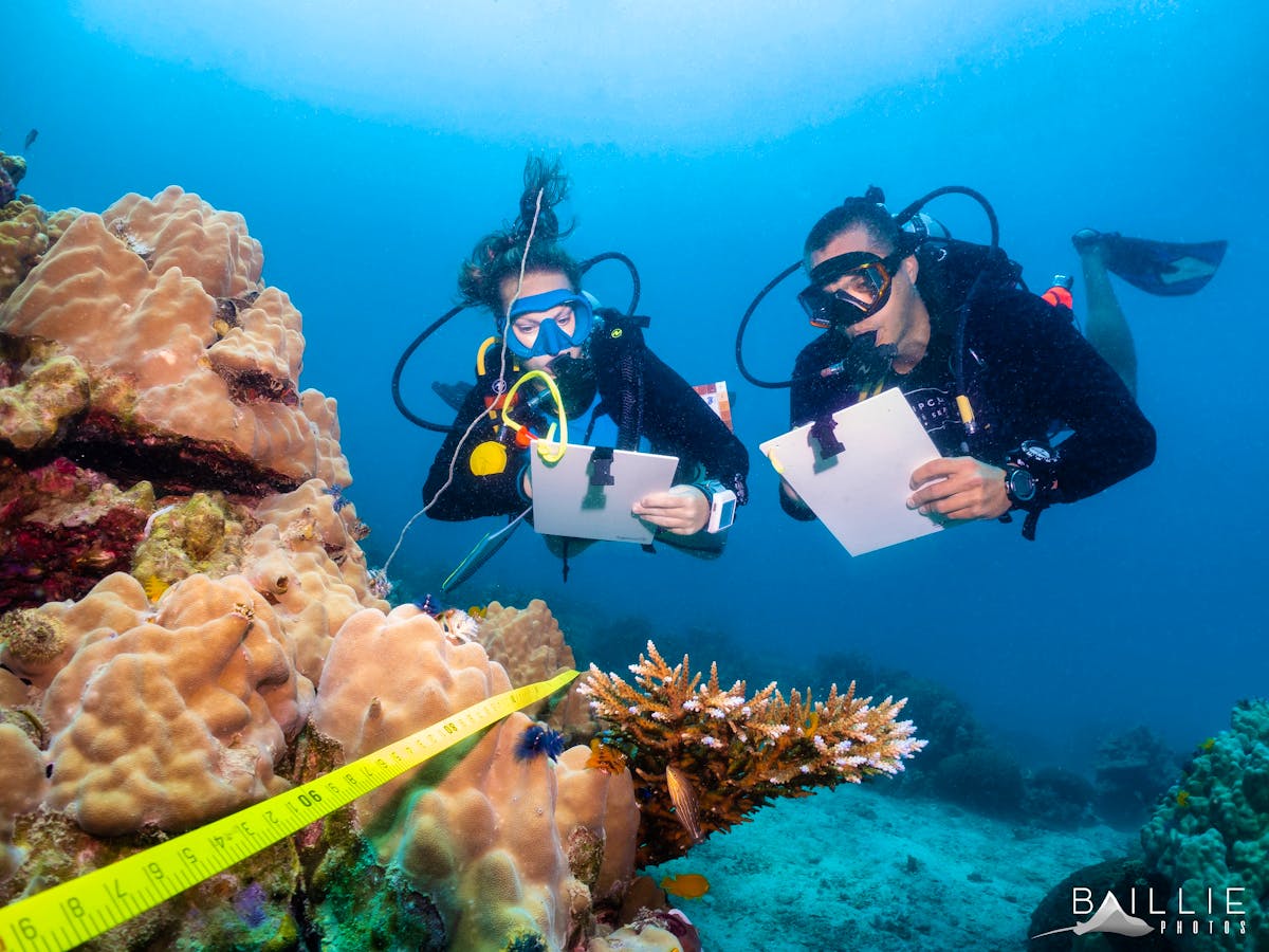 Coral Restoration and Marine Conservation | Volunteer in Thailand 2025