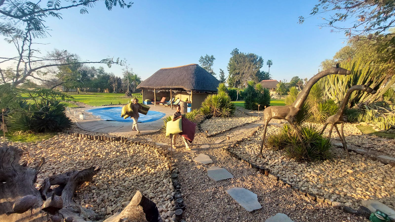 Harnas Wildlife Sanctuary | Volunteer in Namibia 2025