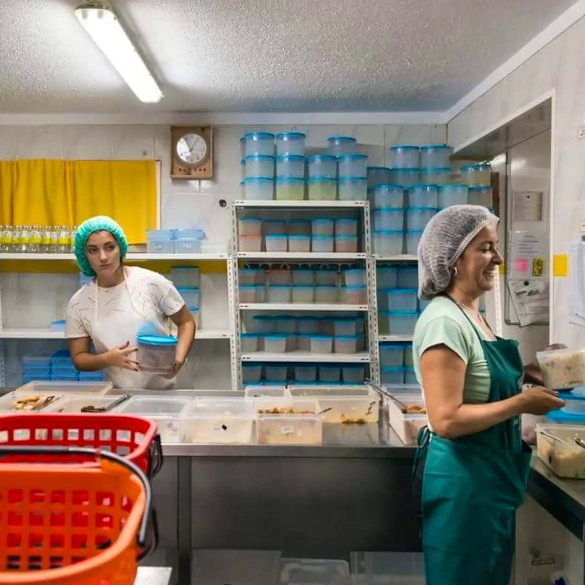 Food Support for the Homeless | Volunteer in Portugal 2025