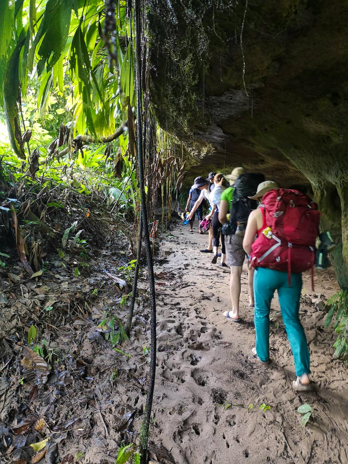 NGO Management Assistant | Volunteer in Peru 2025