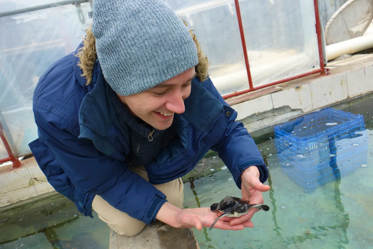 Turtle Conservation Support | Volunteer in China 2025