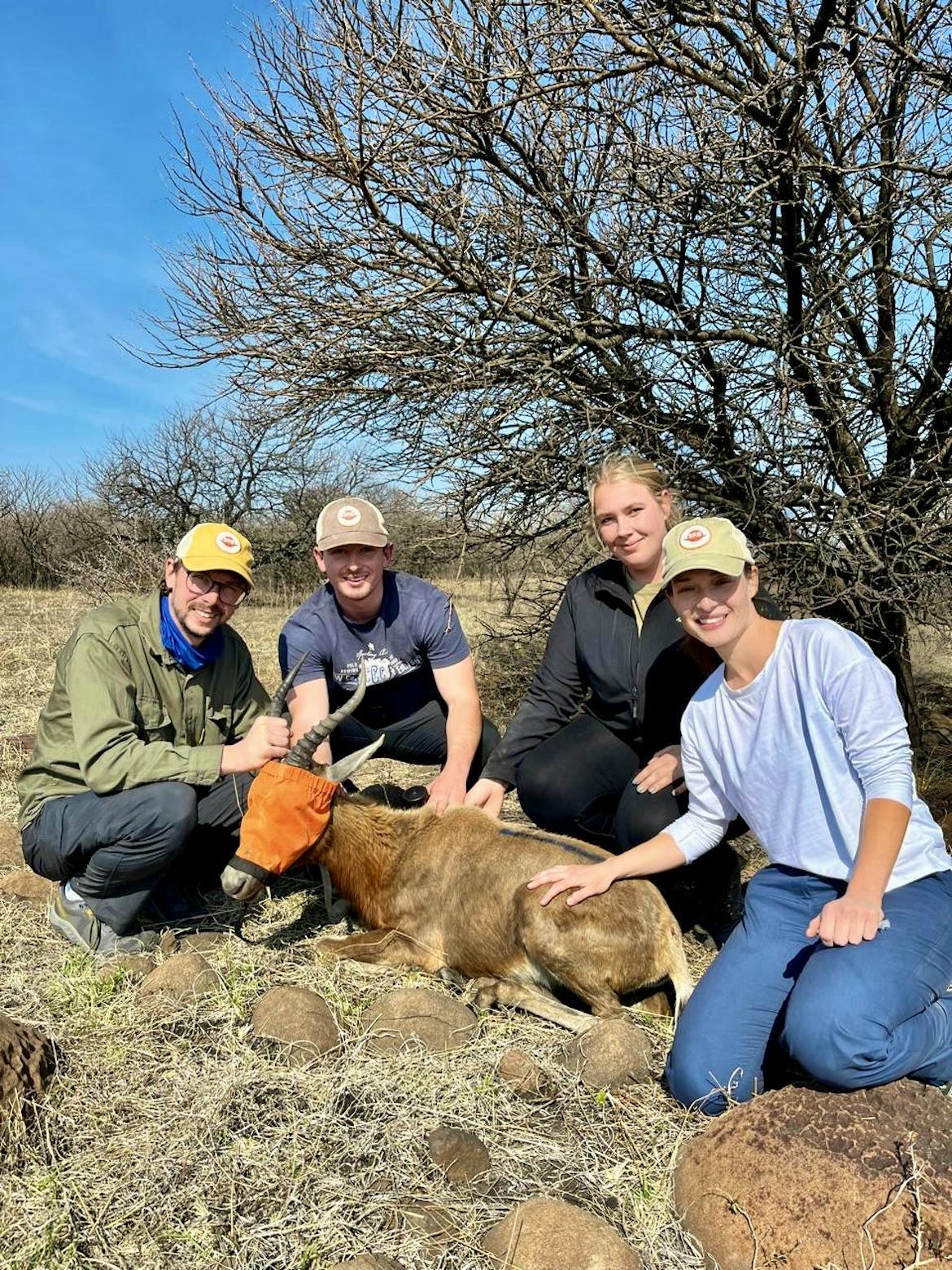 Wildlife Relocation and Veterinary Experience | Volunteer in South ...