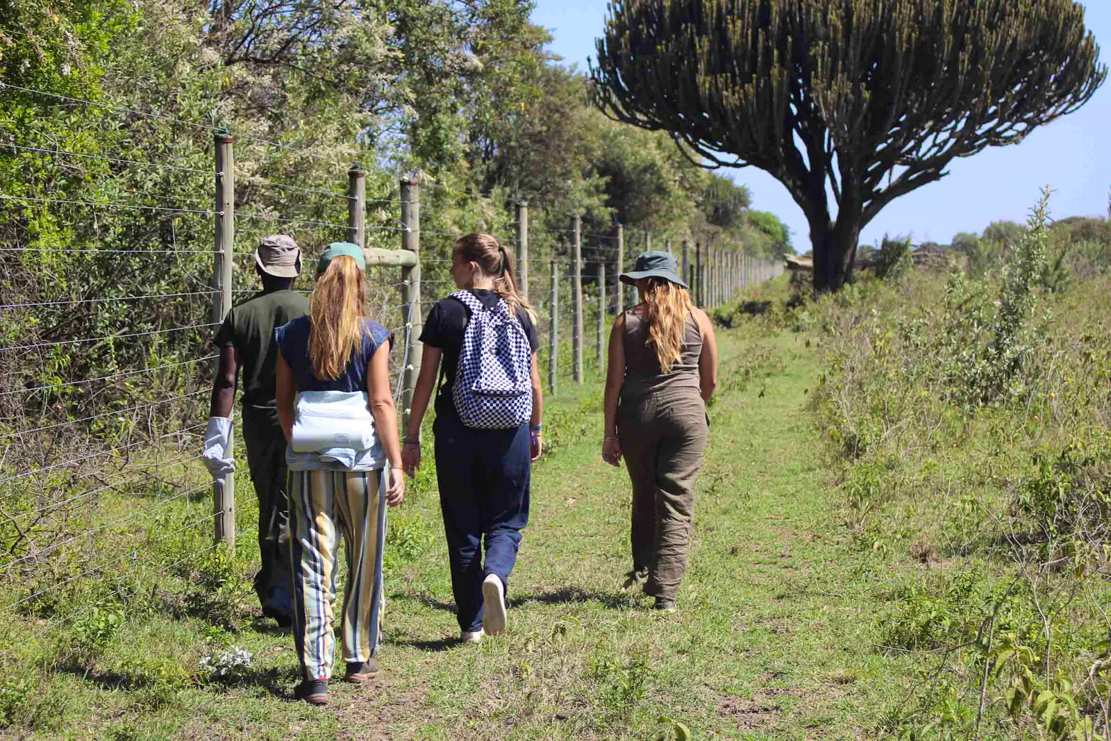 Wildlife Conservation & Tracking | Volunteer in Kenya 2025