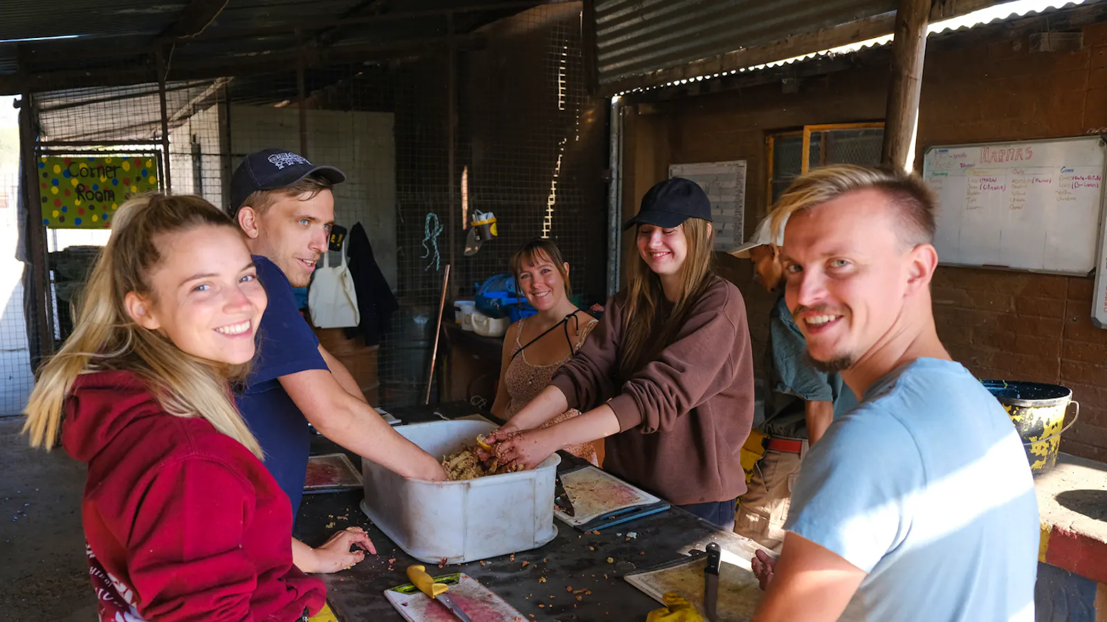 Harnas Wildlife Sanctuary | Volunteer in Namibia 2025