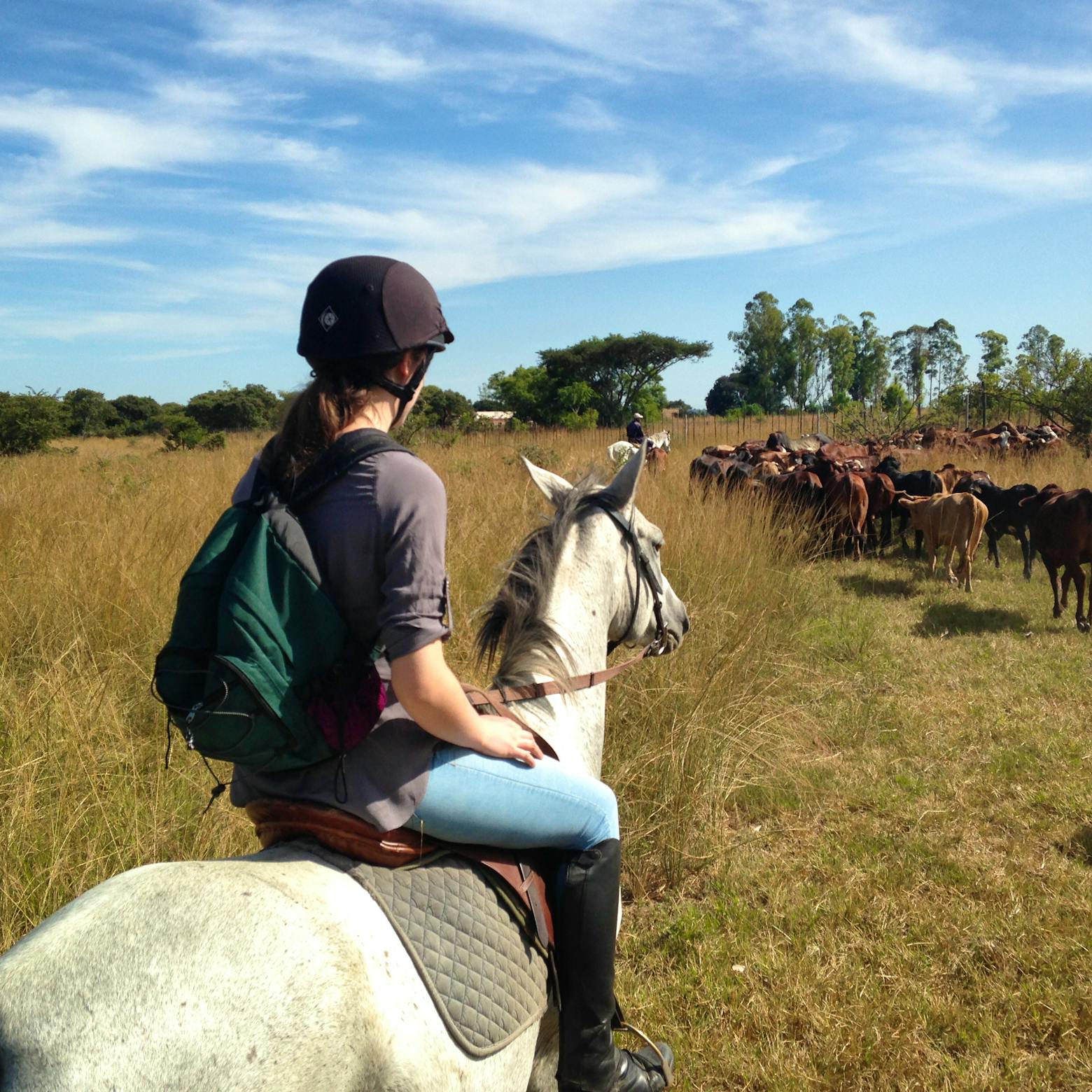 Horse Riding & Wildlife Conservation | Volunteer in Zimbabwe 2025