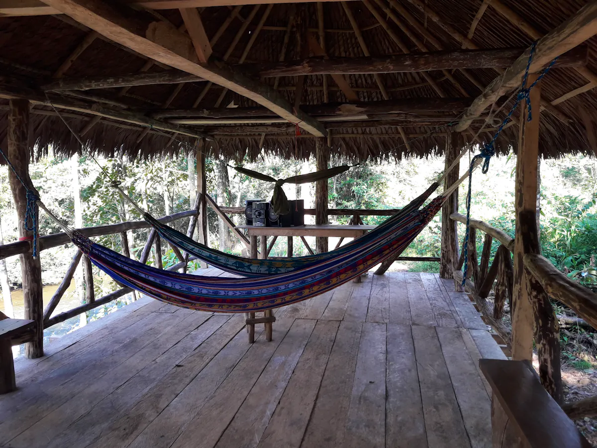 Amazon Jungle Conservation | Volunteer in Ecuador 2024