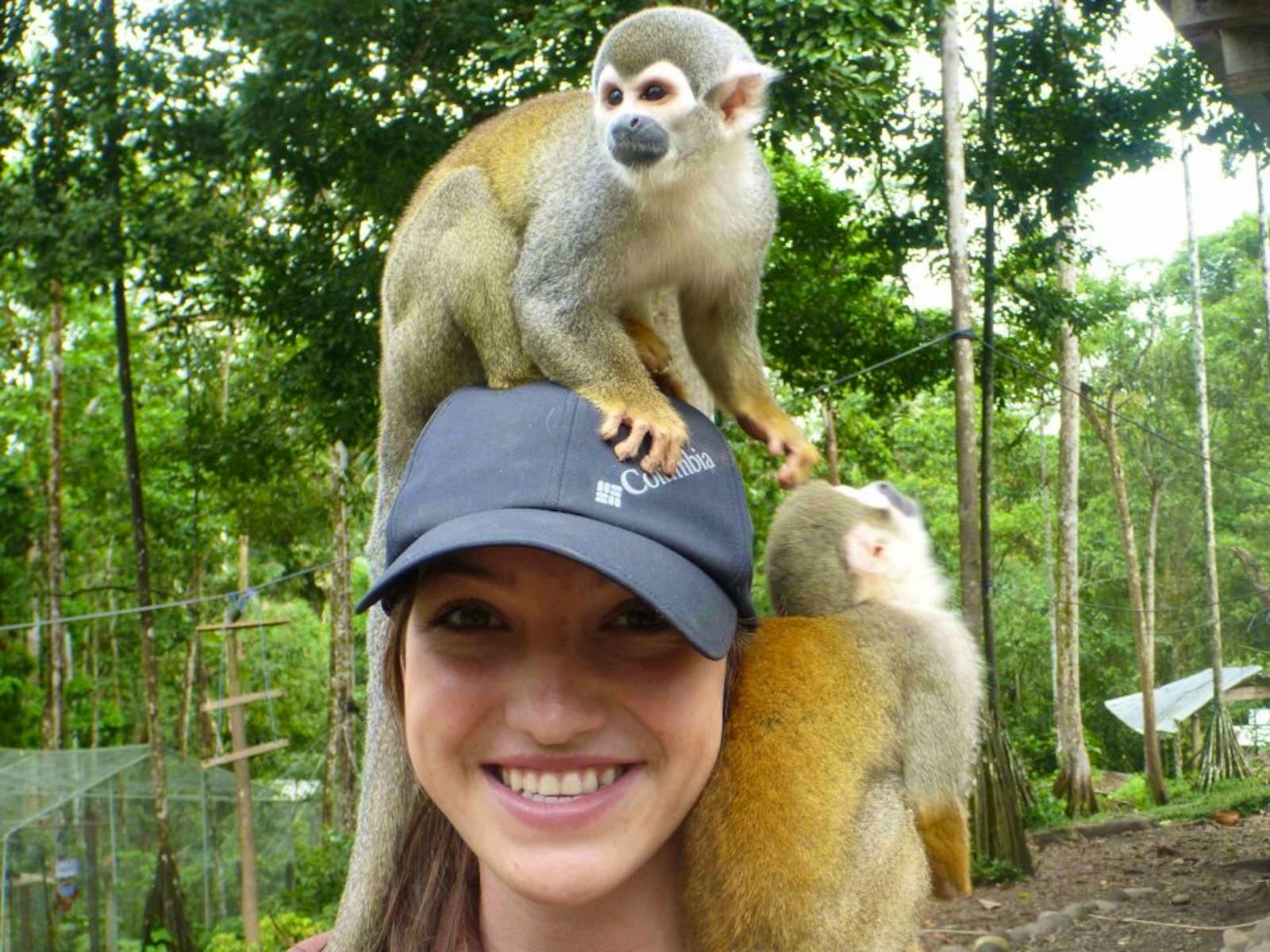 Wildlife Rescue & Animal Caretaker | Volunteer in Ecuador 2024