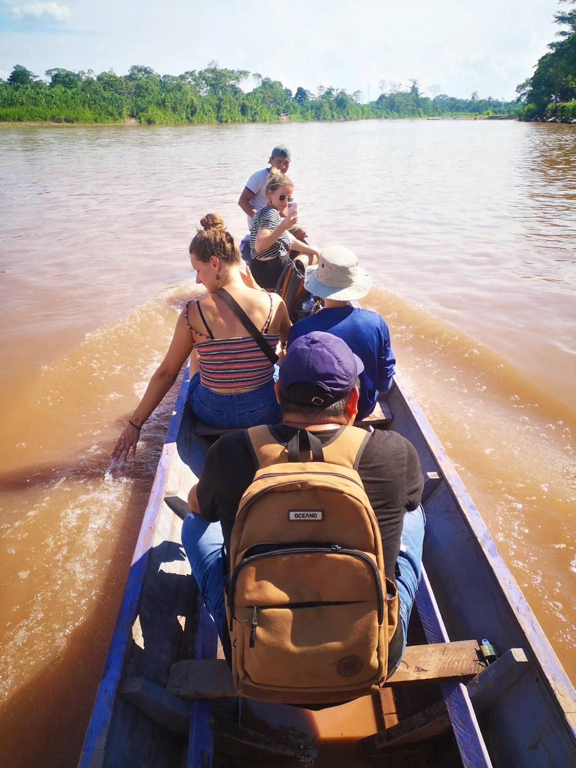 NGO Management Assistant | Volunteer in Peru 2025