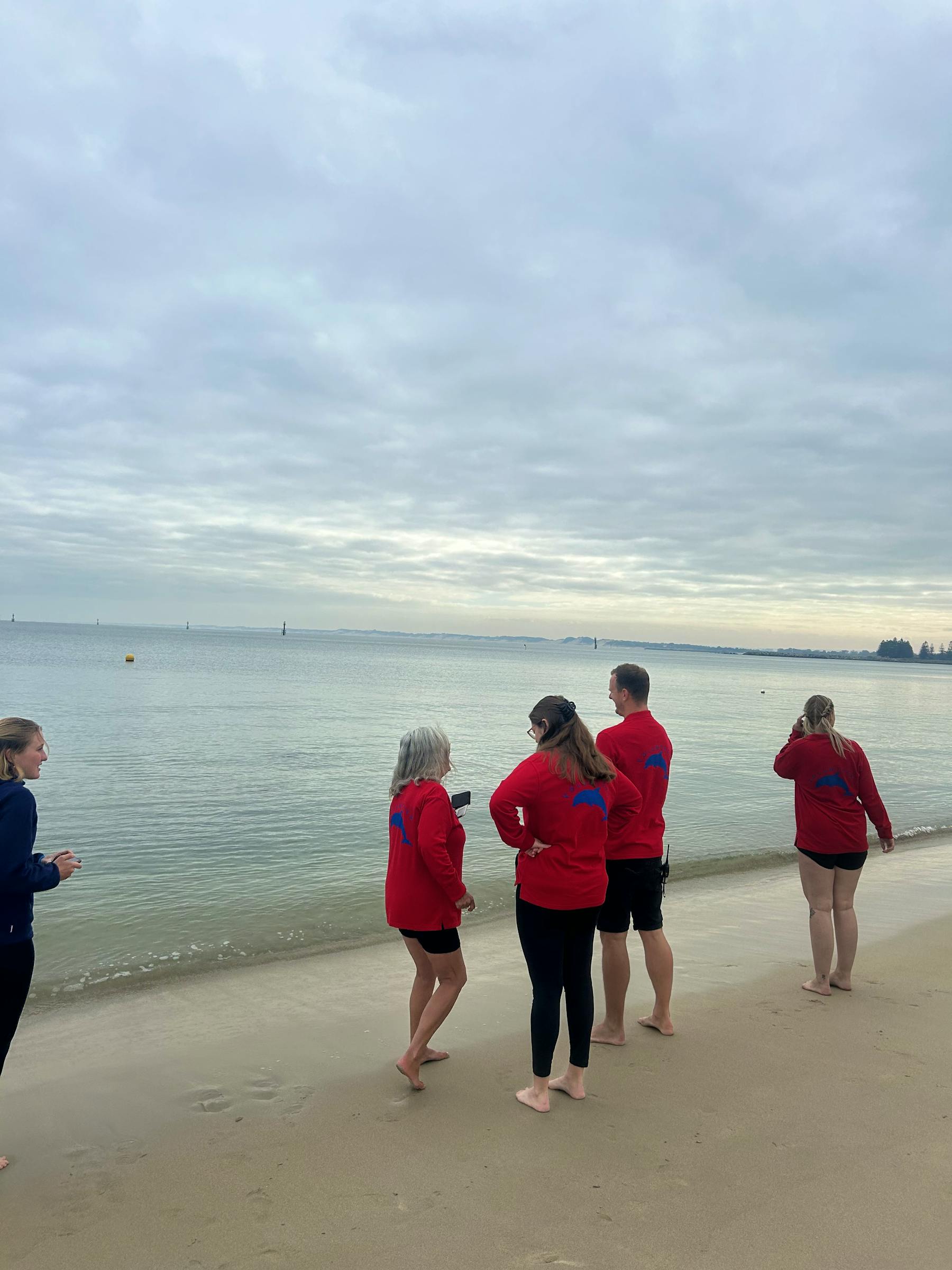 Dolphin Conservation Assistant | Volunteer in Australia 2026