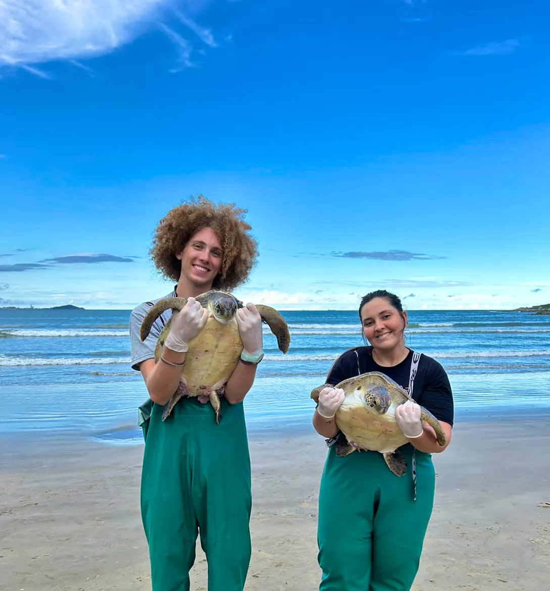 Sea Turtles and Artisanal Fisheries Monitoring | Volunteer in Brazil 2025