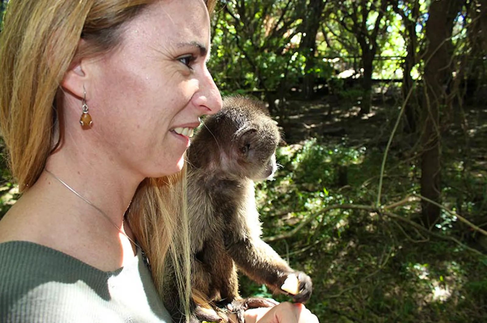 Animal Sanctuaries | Volunteer in South Africa 2025