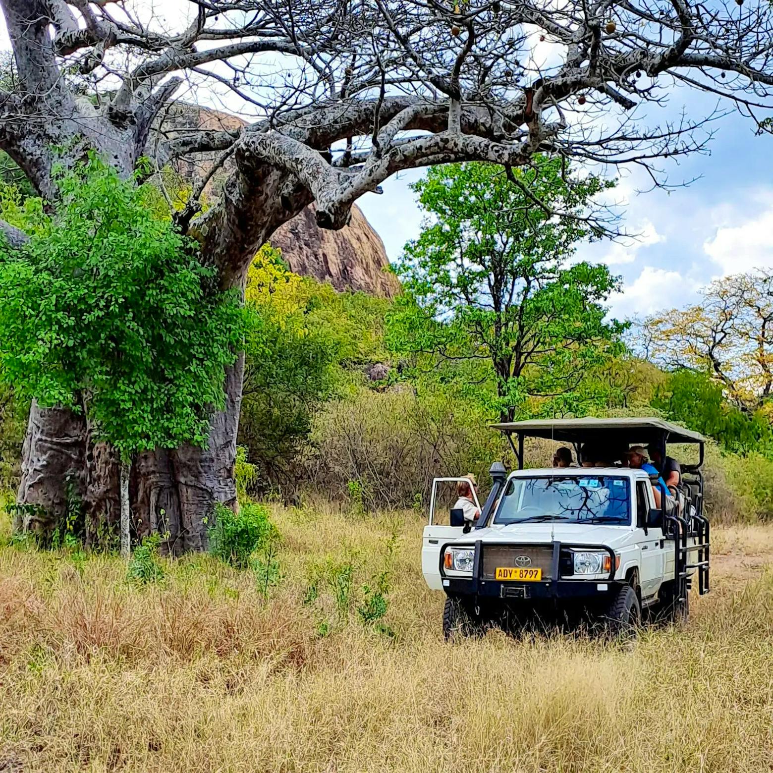 Wild Farming Helper | Volunteer in Zimbabwe 2024