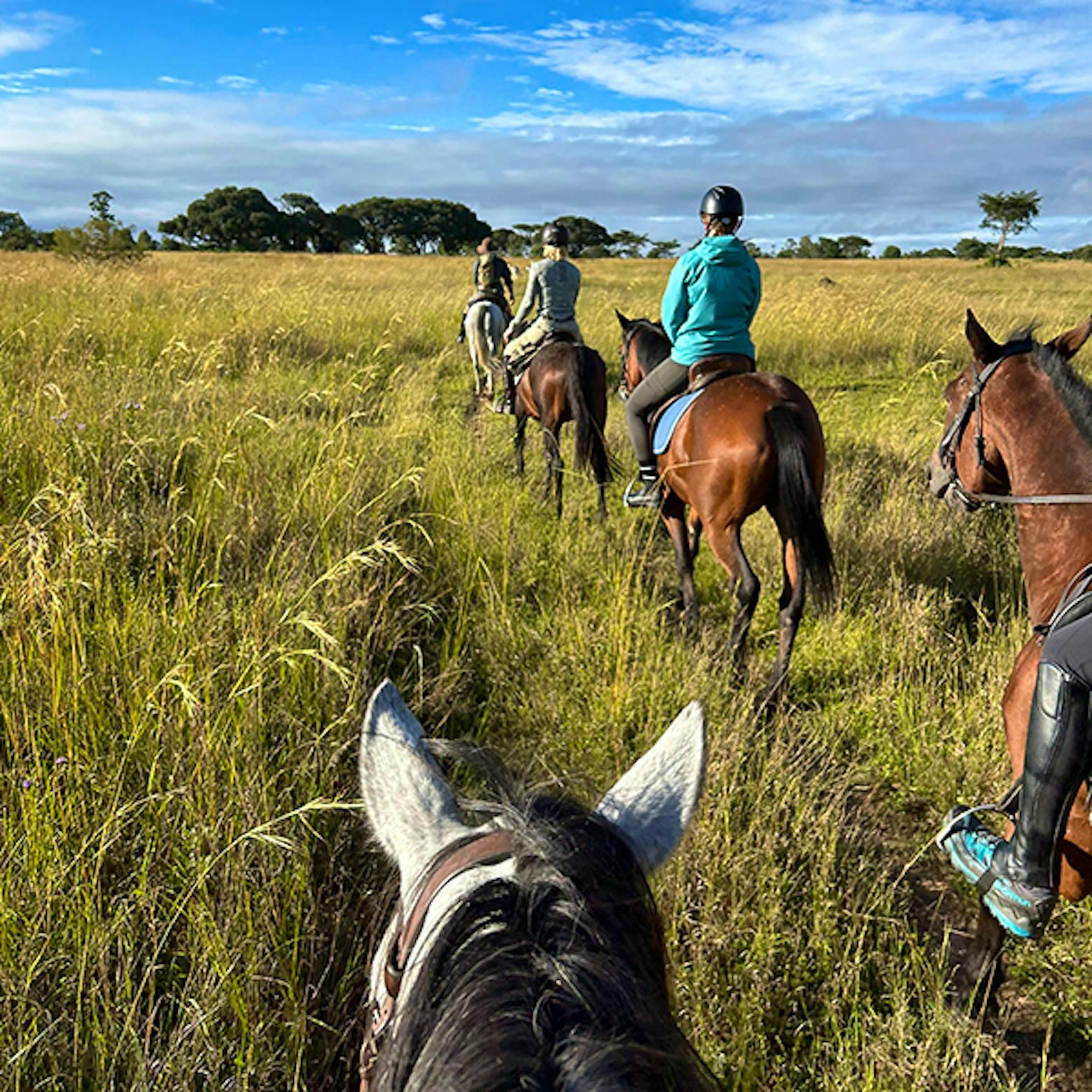 Horse Riding & Wildlife Conservation | Volunteer in Zimbabwe 2025