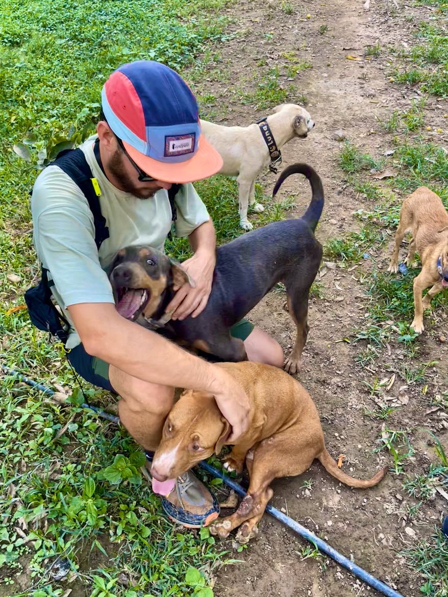Dogs Cuddling Expert | Volunteer in Colombia 2025