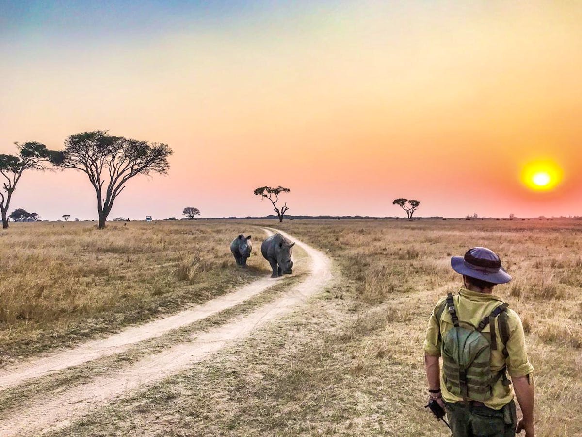 Nature Enthusiast Course | Volunteer in Zimbabwe 2025