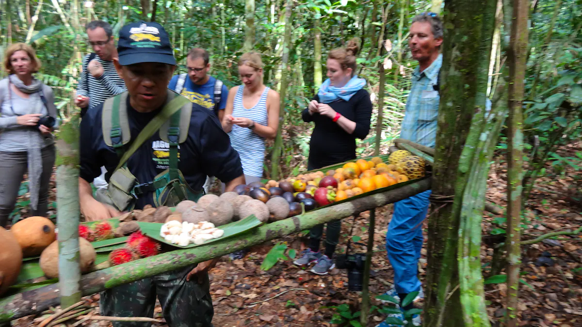 Amazon Survival Tour Guide | Volunteer in Brazil 2025
