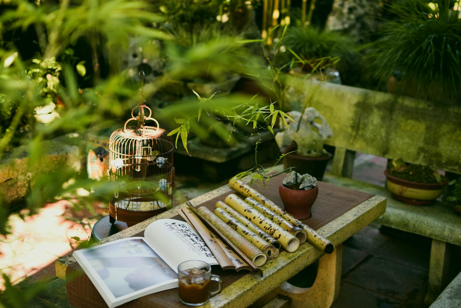 Experiencing Puer Tea Processing in RedDao Region | Volunteer in ...