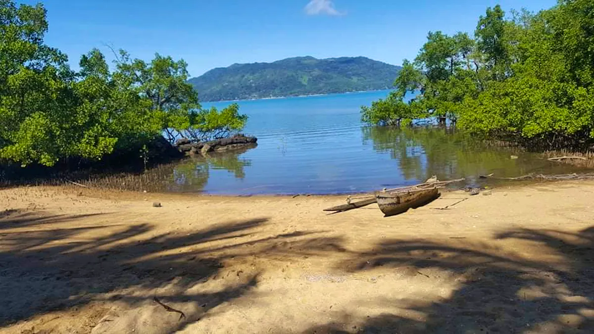 Lemur and Wildlife Conservation Expedition | Volunteer in Madagascar 2025