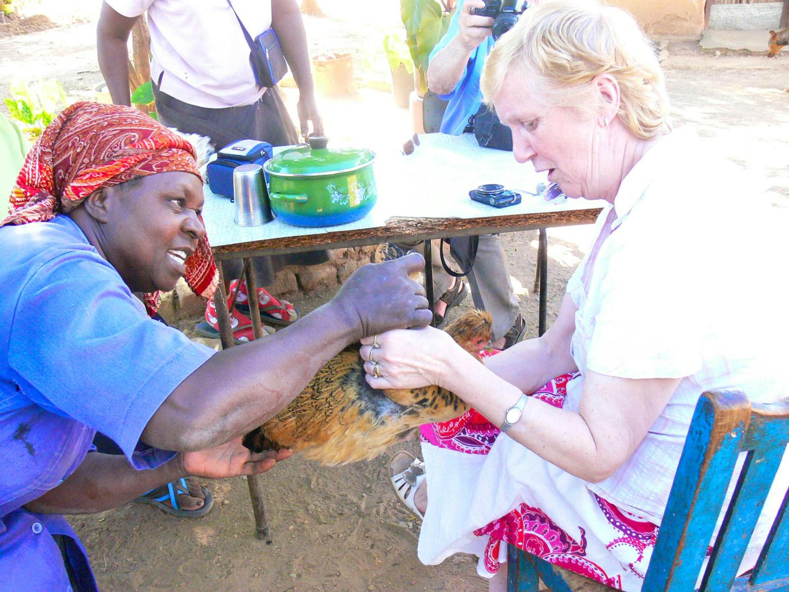 Social Community Outreach Assistant | Volunteer in Zimbabwe 2025