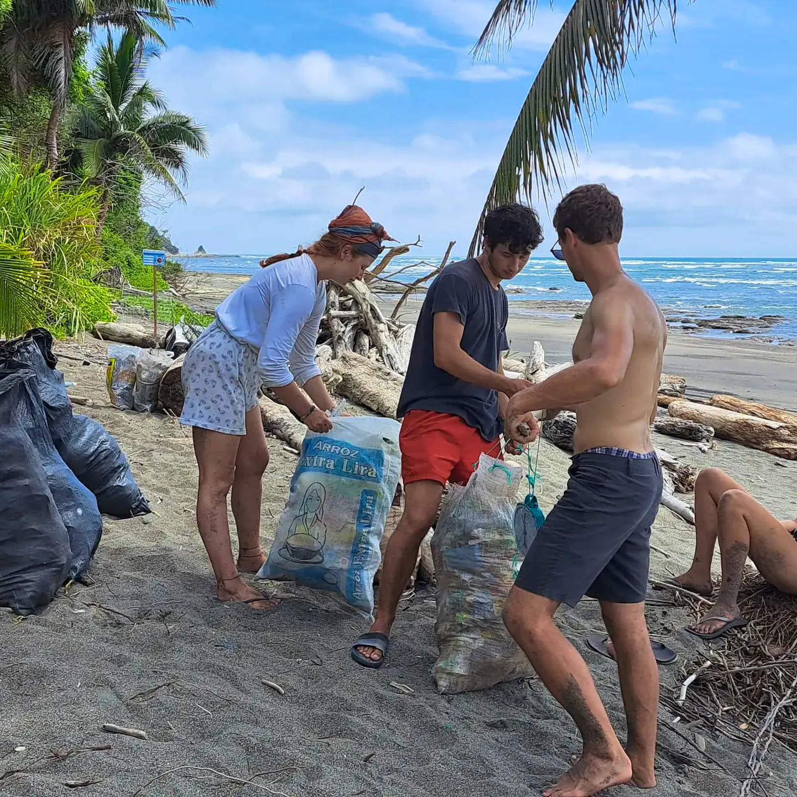 Sea Turtle Protection & Rainforest Preservation | Volunteer in Ecuador 2025