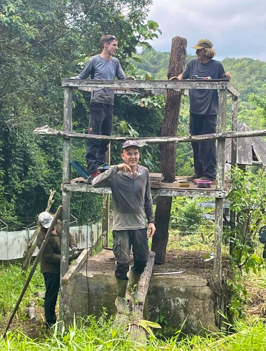 Sun Bear Sanctuary | Volunteer in Indonesia 2025