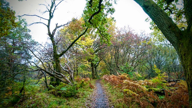 Wilderness Conservation Field Researcher | Volunteer in the United ...