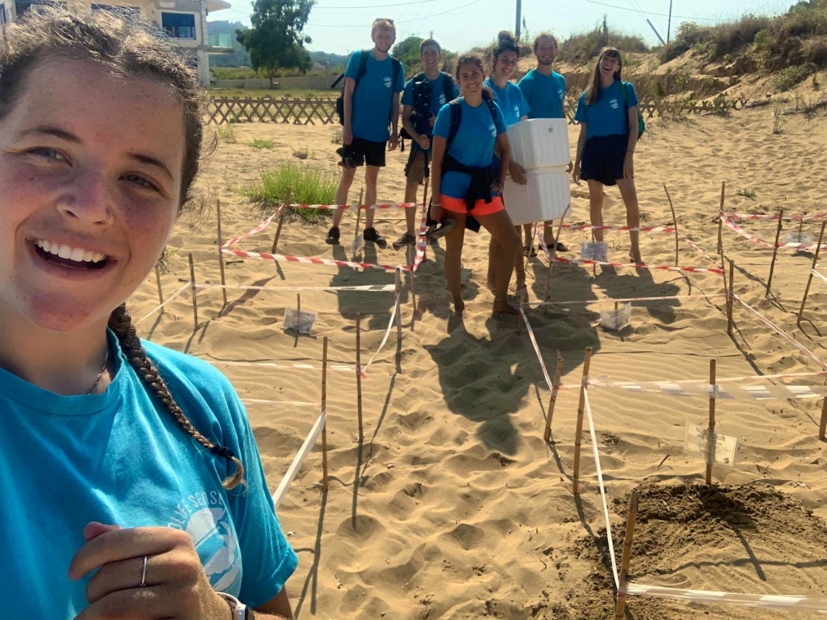 Greece Turtle Conservation Volunteers | Volunteer in Greece 2025