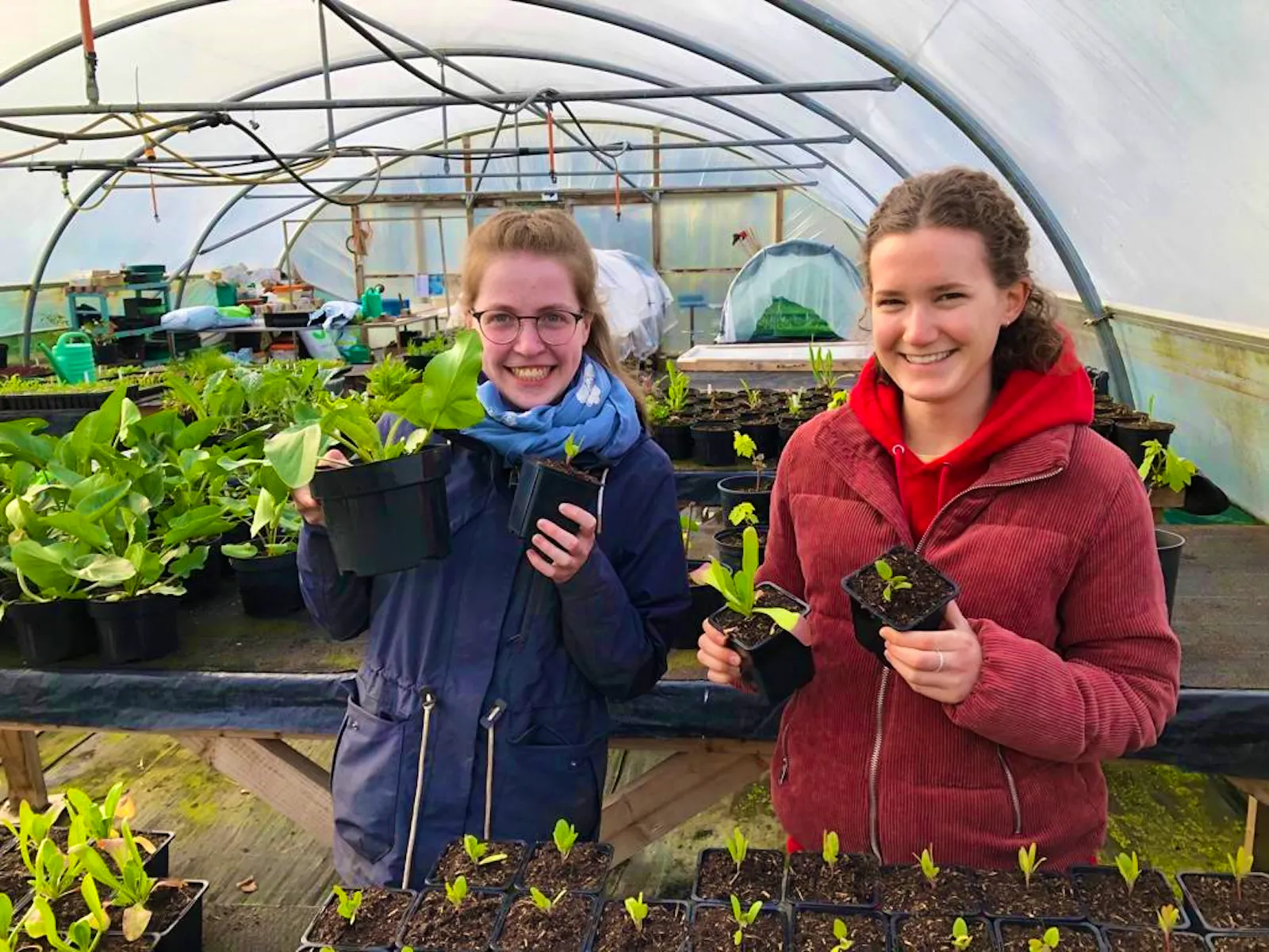 Eco-Centre: help and work towards sustainability | Volunteer in Ireland ...