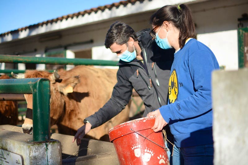 Community development in families | Volunteer in Chile 2025