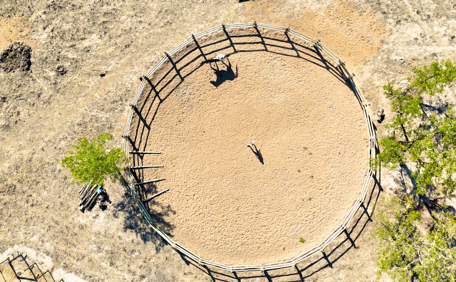 Wild Farming Helper | Volunteer in Zimbabwe 2024