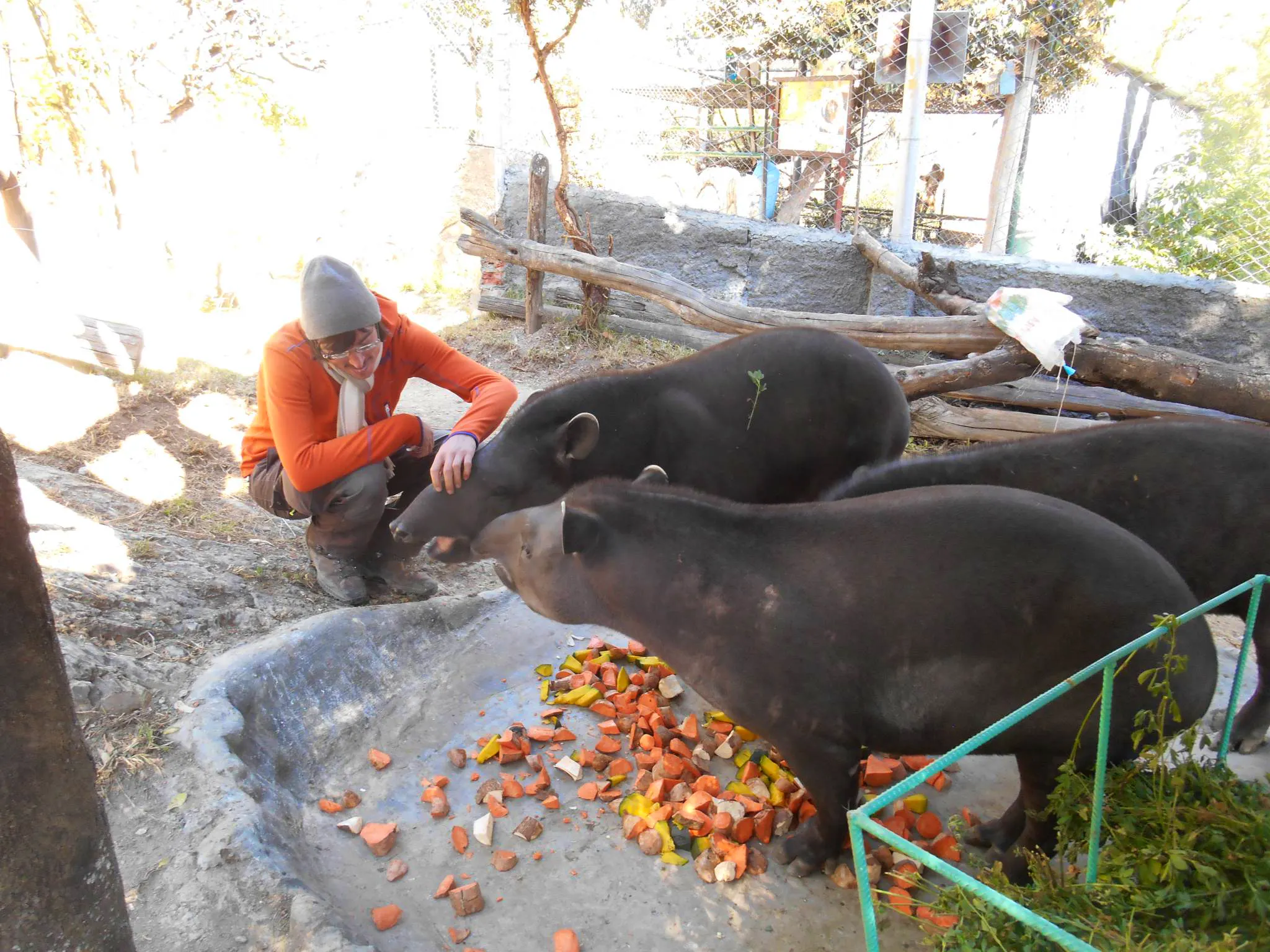 Zoo Assistant | Volunteer in Peru 2023