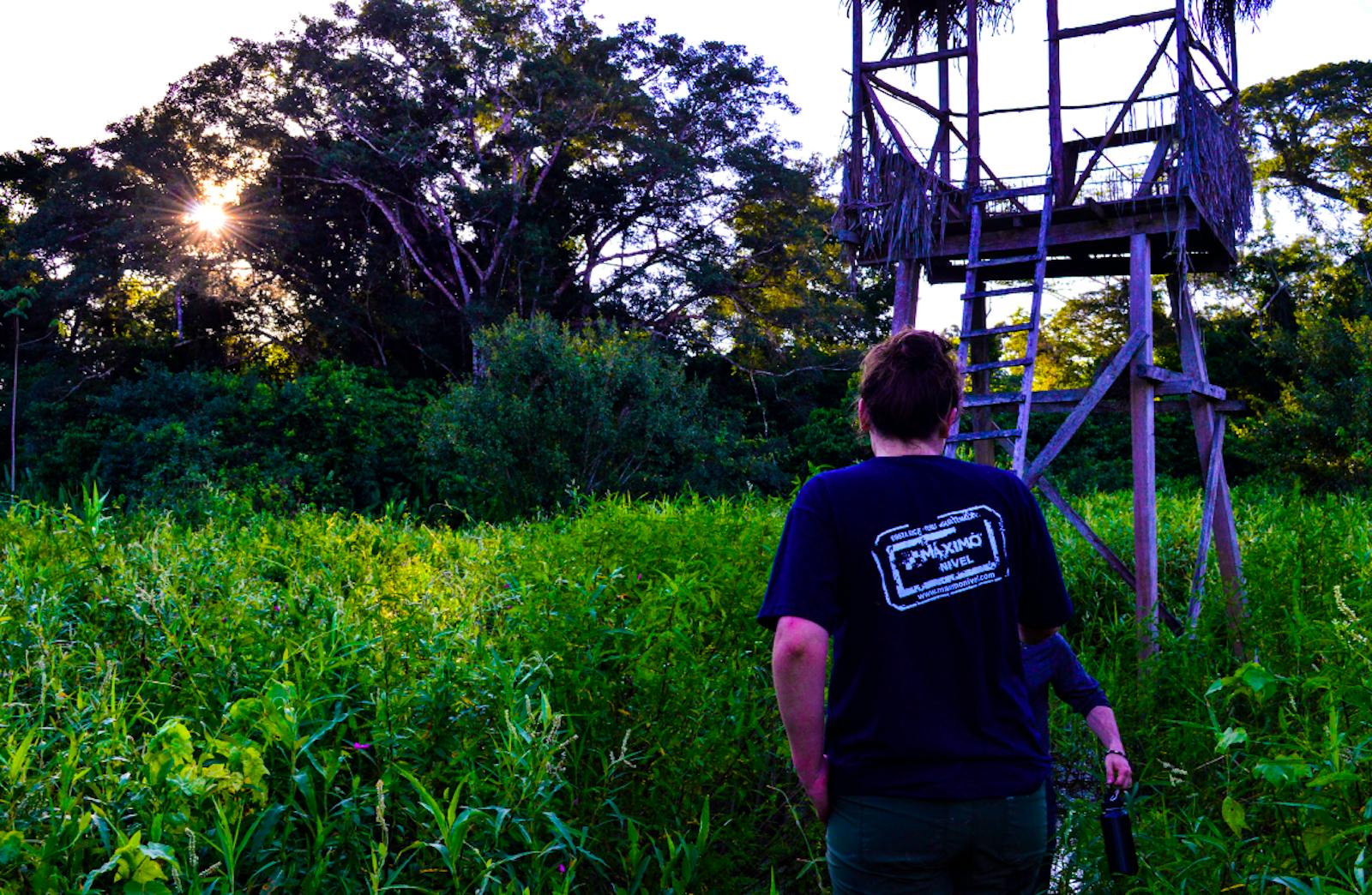 Peruvian Amazon Conservation & Reforestation | Volunteer in Peru 2025