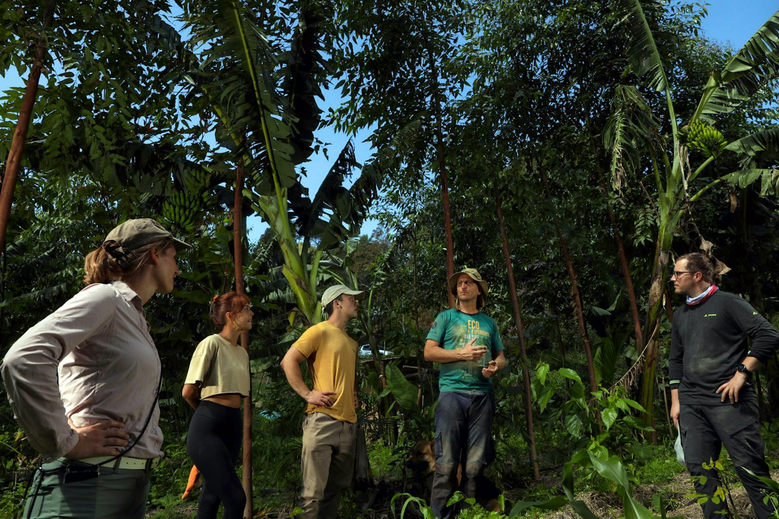 Agroforestry & Sintropic Agriculture Assistant | Volunteer in Brazil 2025