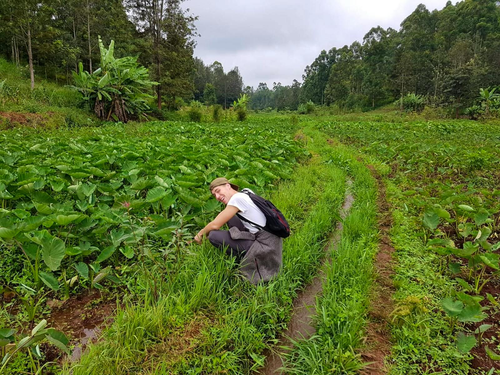 Environmental and Climate Change Conservation | Voluntariado en Kenia 2023