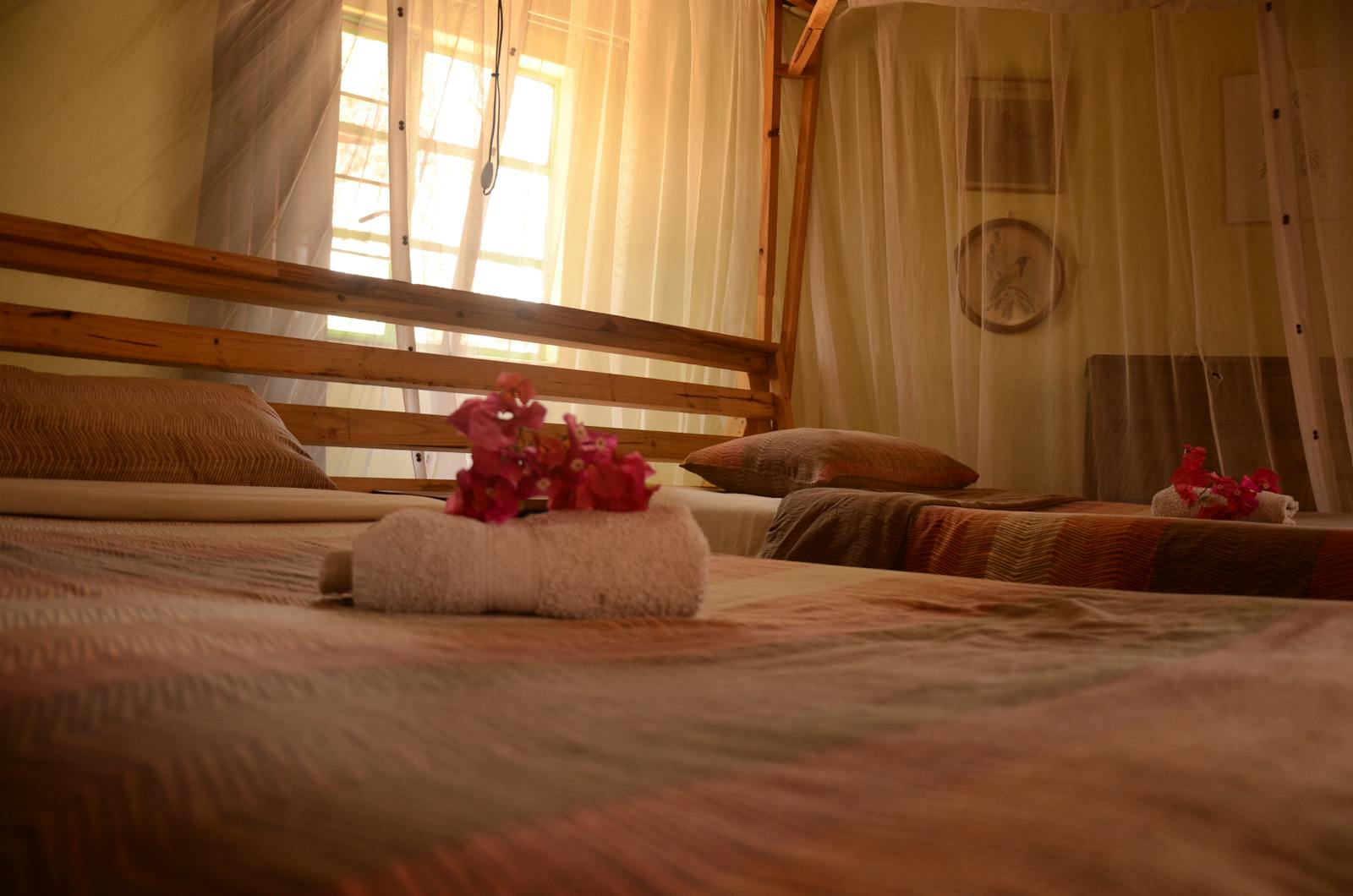 Wildlife Orphanage Animal Manager | Volunteer in South Africa 2025