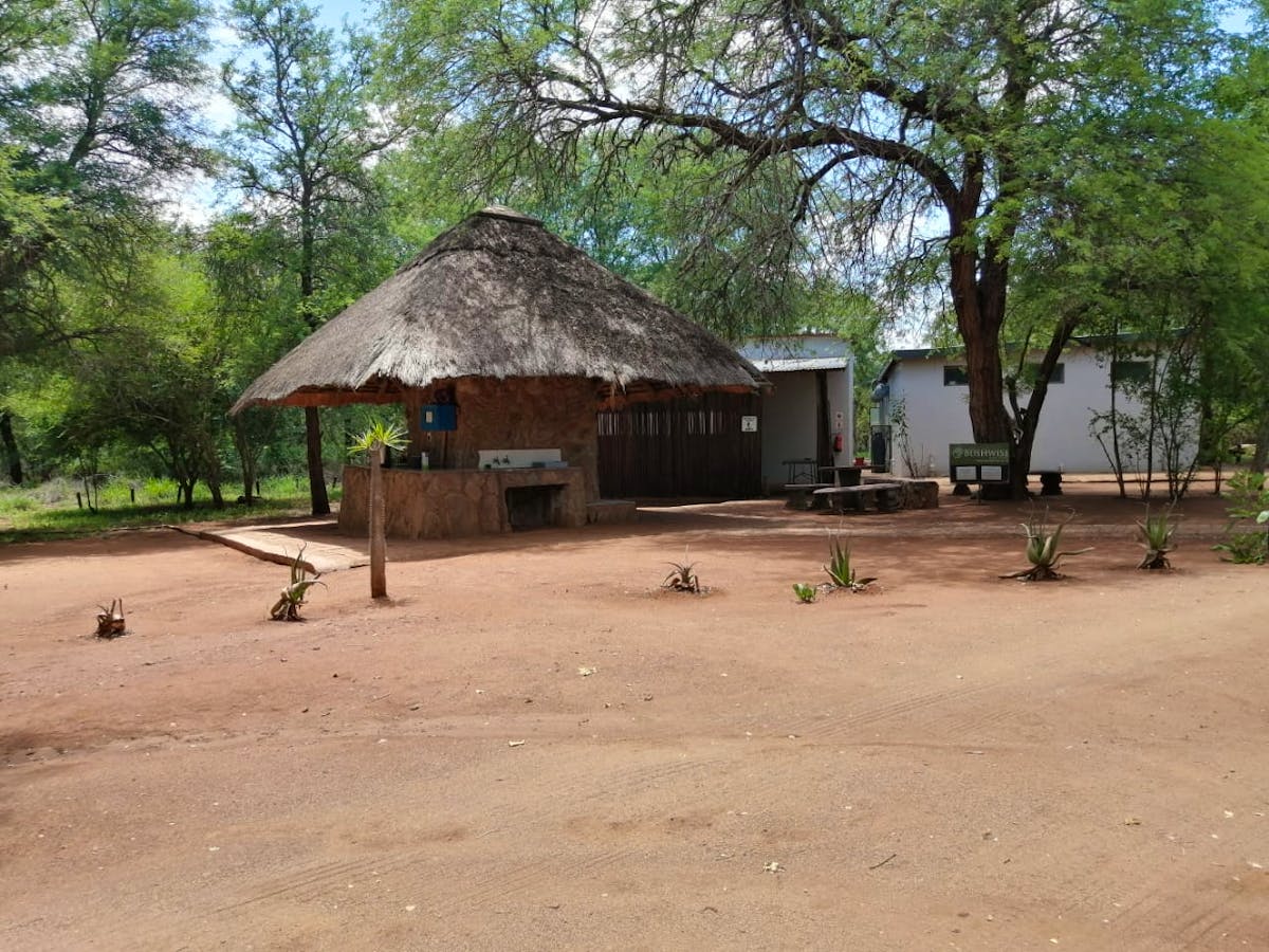 Field Guide Course | Volunteer in South Africa 2025