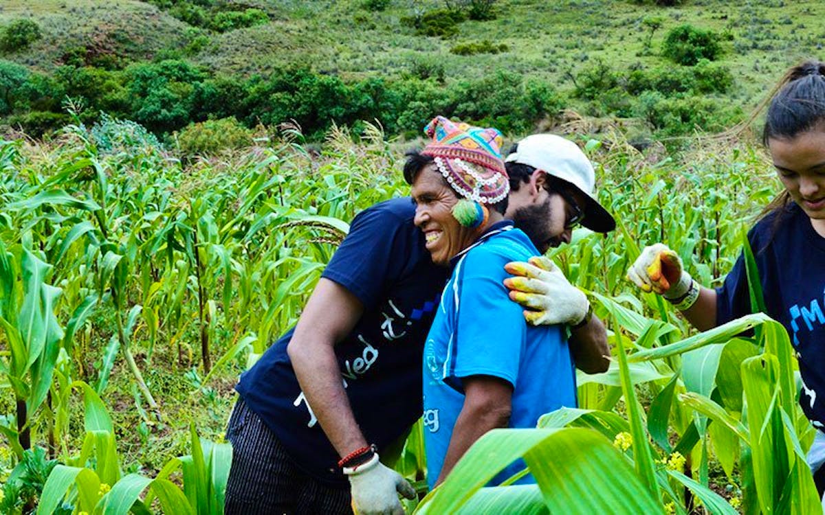 Support a Local Organic Farm | Volunteer in Peru 2025
