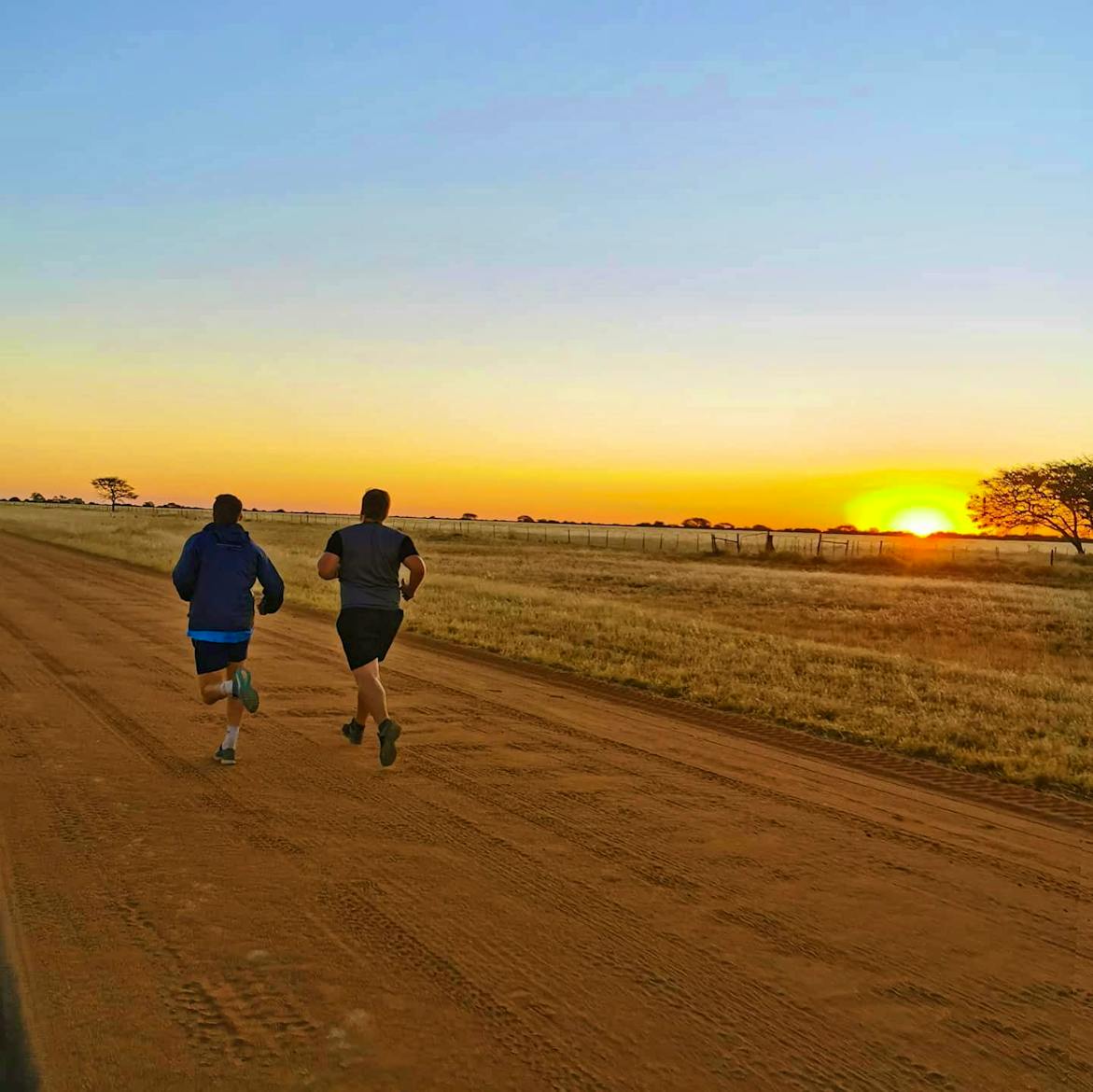 Horse and Stable Care | Volunteer in Namibia 2025