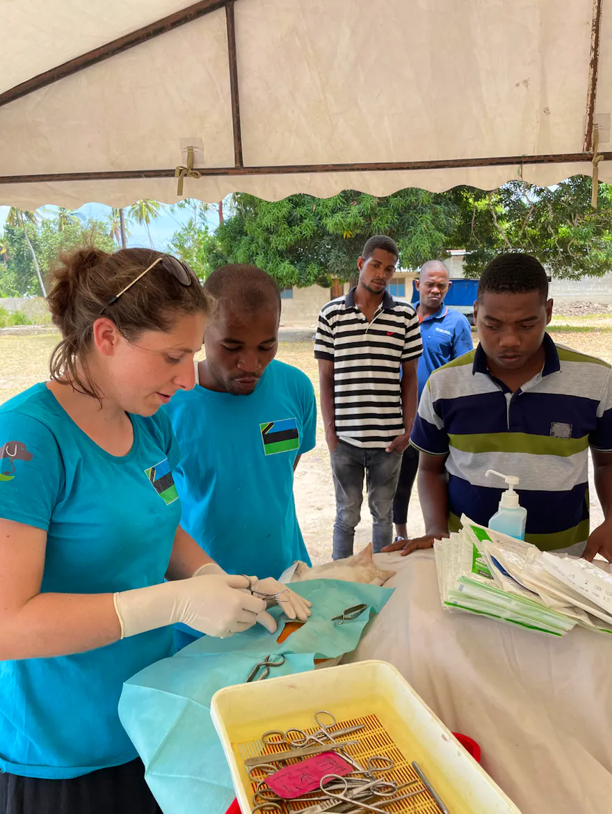 Vet Assistant | Volunteer in Tanzania 2025