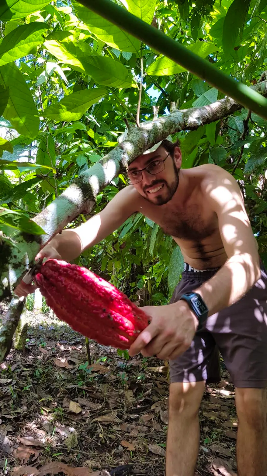 Organic Farming and Tropical Conservation | Volunteer in Ecuador 2024