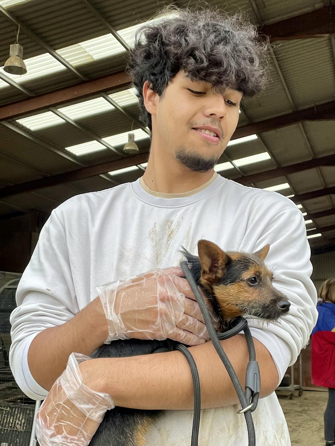 Animal Rescue & Community Development Helper | Volunteer in Ireland 2025