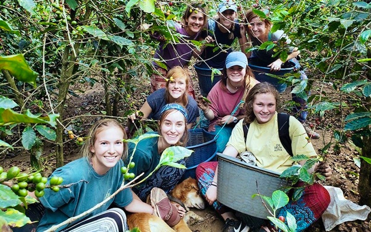 Support a Local Organic Farm | Volunteer in Peru 2025