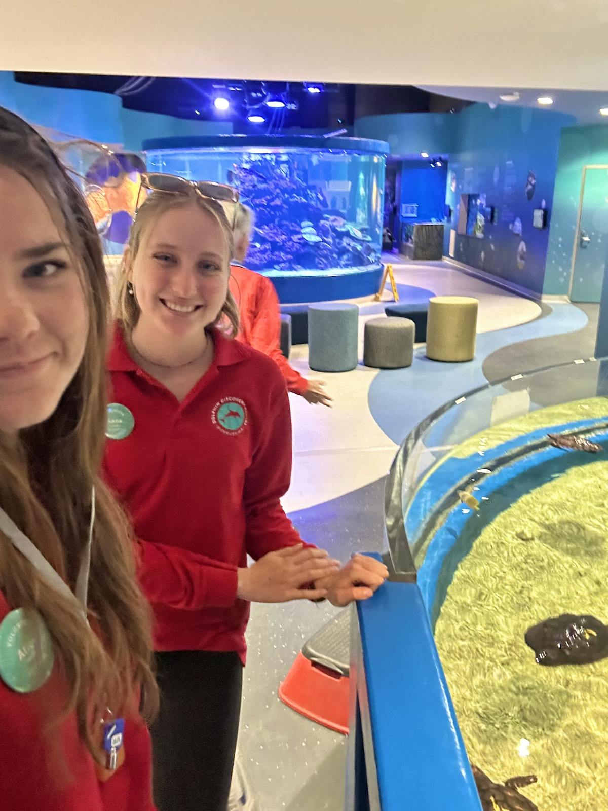 Dolphin Conservation Assistant | Volunteer in Australia 2026