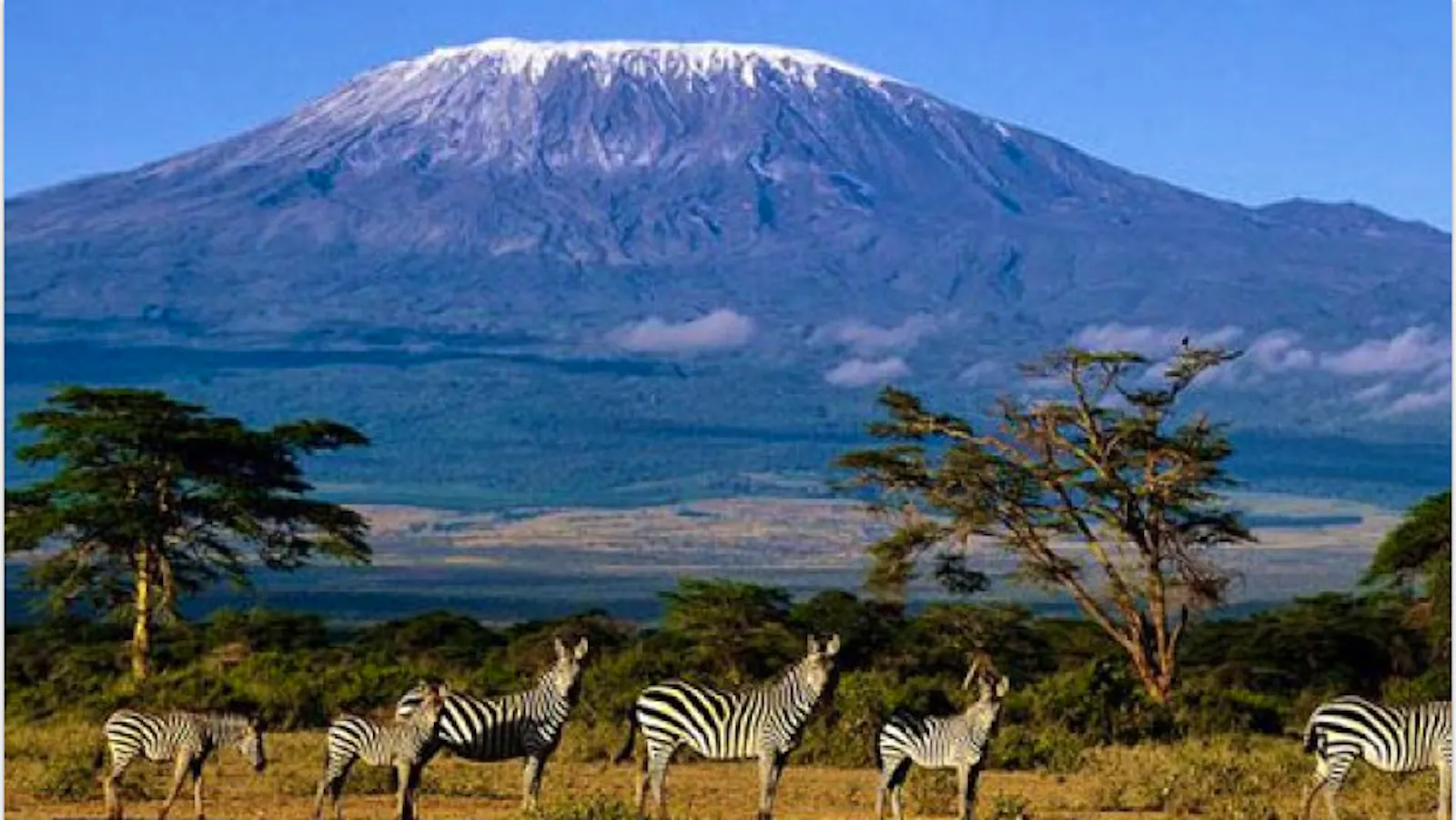 Videos & documentaries creator | Volunteer in Kenya 2024
