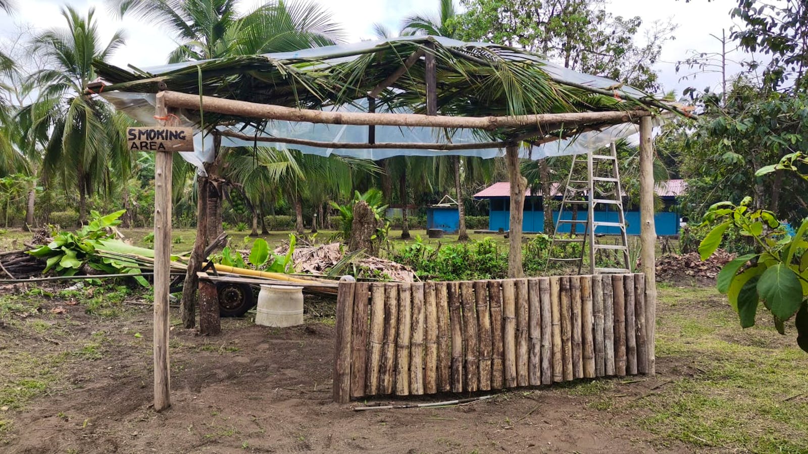 Turtle Conservation Camp Supporter | Volunteer in Costa Rica 2025